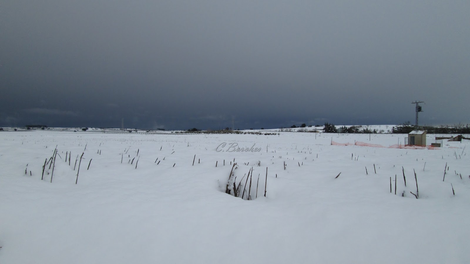 C.Borches Photography: Nevada Enero 2017 en Alborea (Albacete)