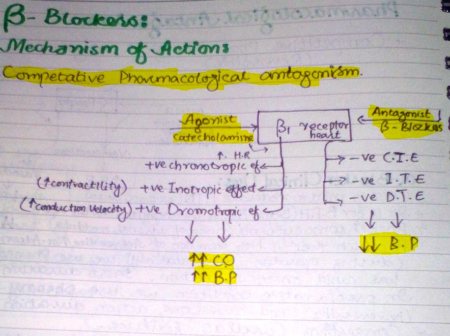 Beta Blockers | Introduction | Mechanism | Classification | Side ...