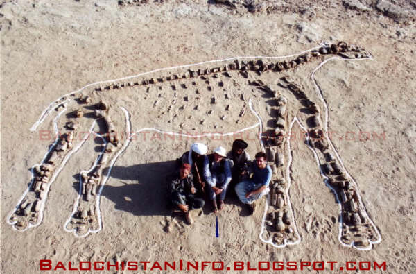 Baluchitherium | Balochistan Info