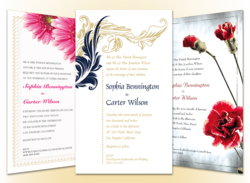 The real Ryan Slogans