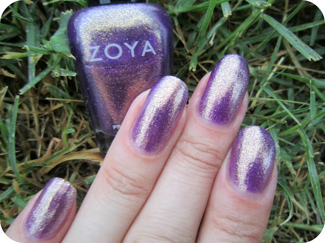 Zoya Daul