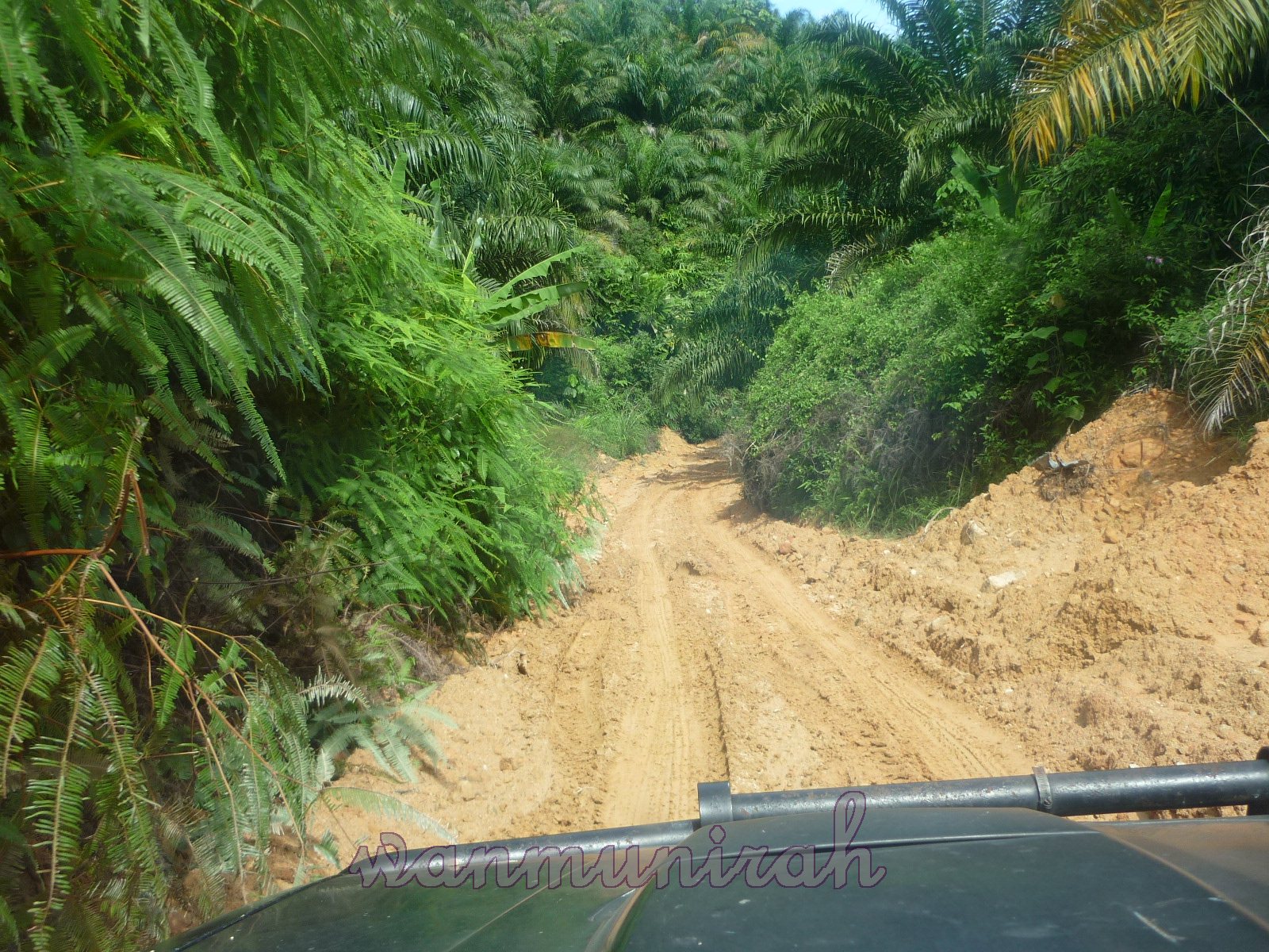 LeisureToursMalaysia - Your Travel Specialist in Malaysia: Adventure ...