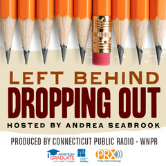 VPR Blog: Left Behind, Dropping Out