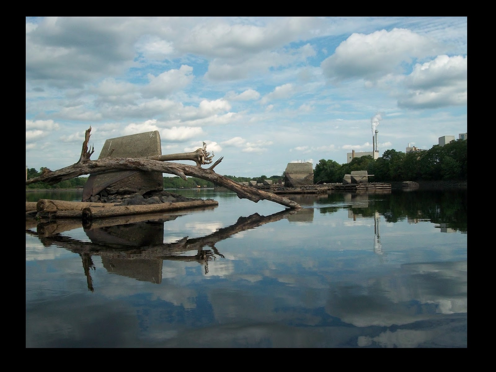 Northeast Ecological Services: Reviving a river: Checking in at Great ...