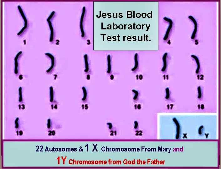 NWO / UFO / NEPHILIM / REPTILIAN / BIBLIA / NASIENIE WĘŻA / PROROCTWA ...