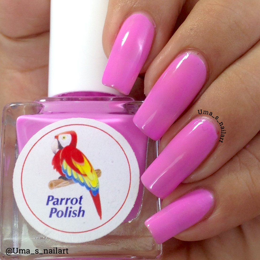 Parrot Polish Cool Summer Collection Swatches and Review..