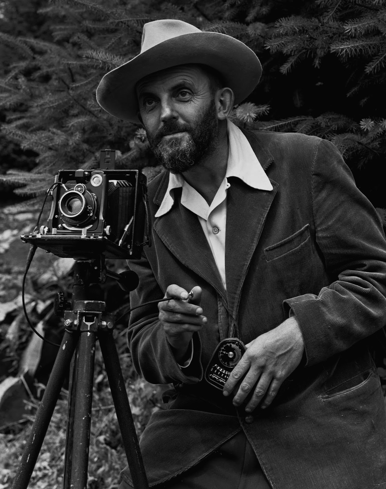 A FORMA E A LUZ: Recordar Ansel Adams (1902-1984), um dos primeiros ...