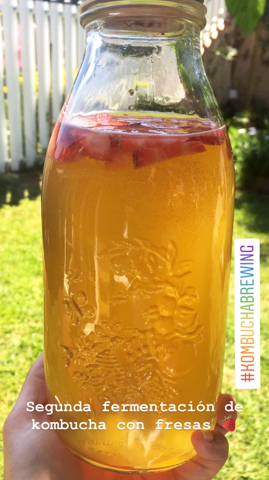 Las recetas de Nai: Cómo hacer Kombucha en casa + Kombucha de frutas ...