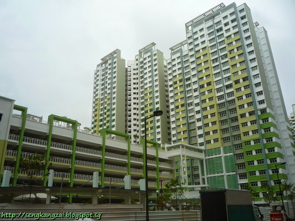 Zai@Sengkang: Fernvale Flora (Completed)