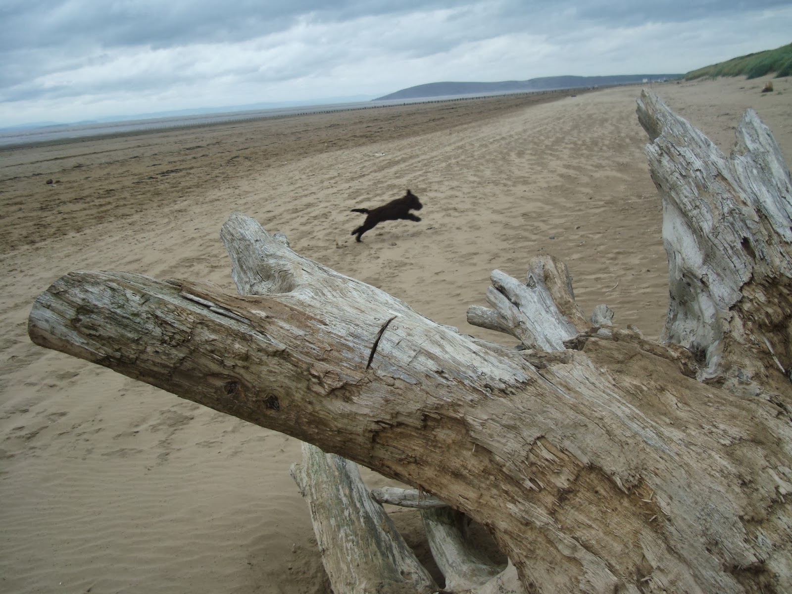 Morwhenna. The Creative Adventurer: 2013 was the year that....