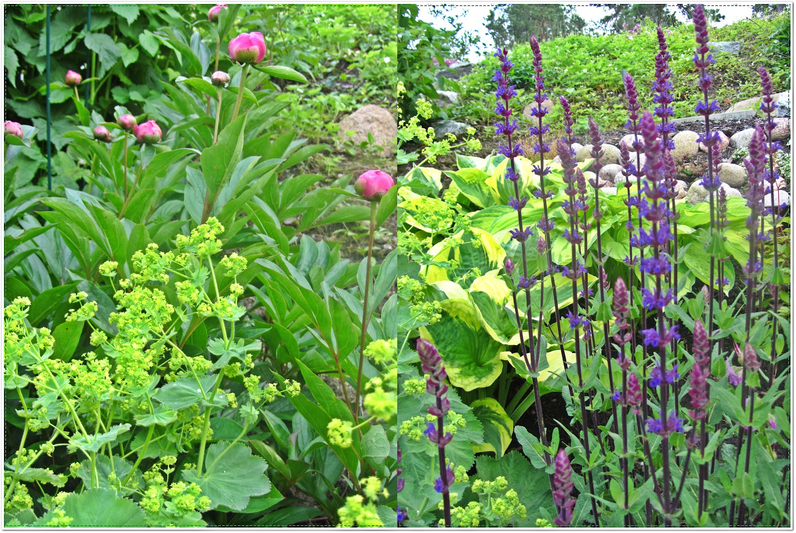 Hos Hanna: I rabatten