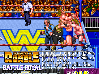 "Hero Envy" The Blog Adventures: WWF WRESTLEFEST