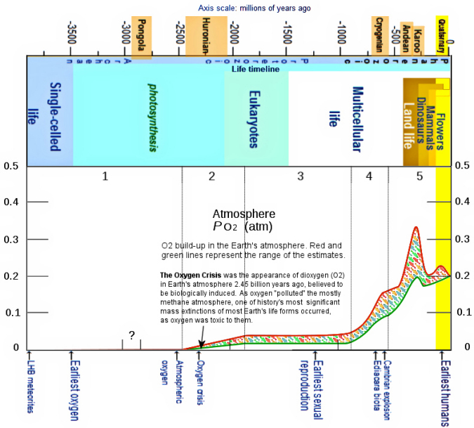 The Redwood Guardian: The Anthropocene is not real How arrogance of ...