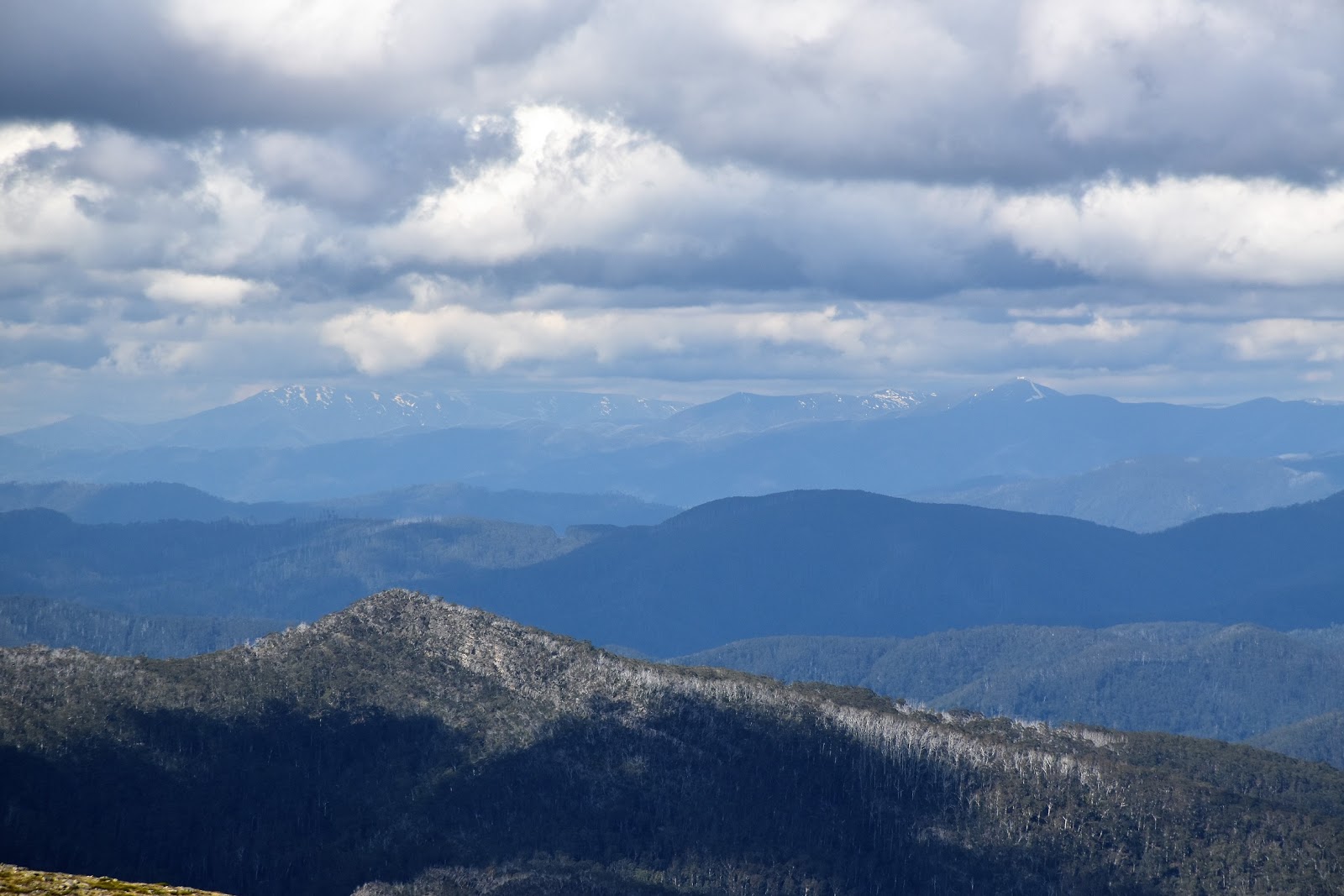 Goin' Feral One Day At A Time: Chesters Yard to Vallejo Gantner Hut ...