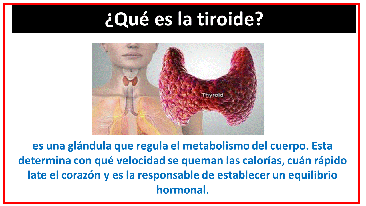 Increibles: La Tiroide -- Síntomas de problemas de la tiroide que ...