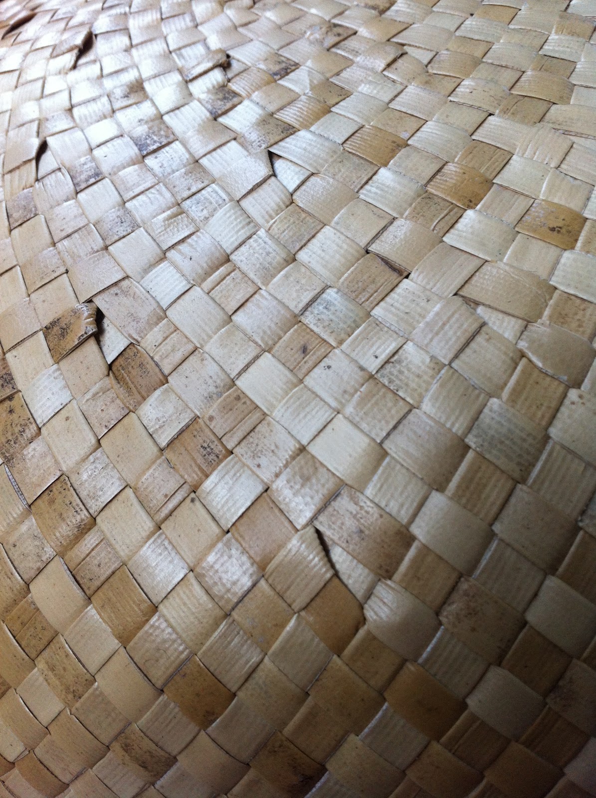 serendipity: Filipino Blogging Day #19: Anahaw