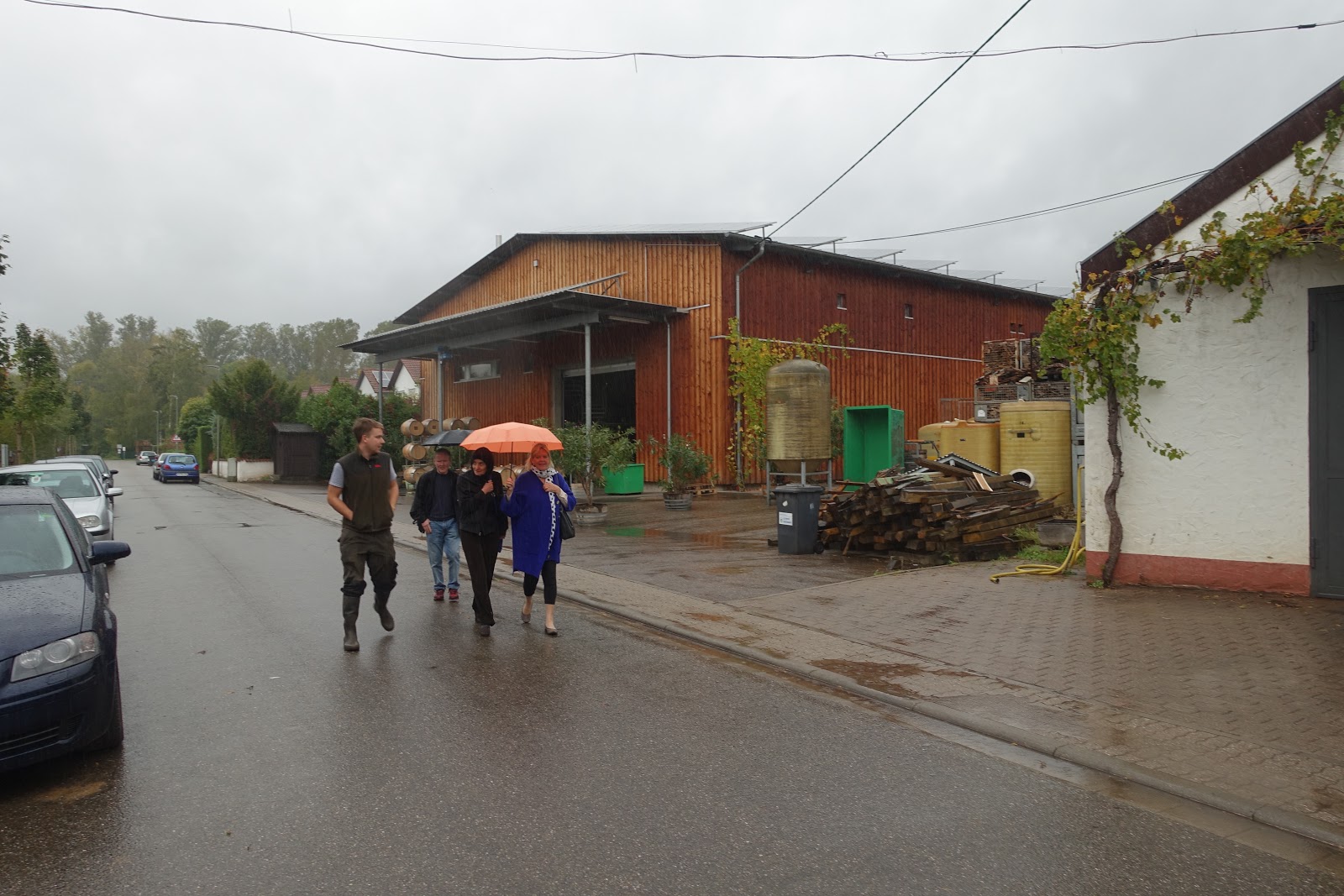 schiller-wine: Cellar Tour and Tasting at Weingut Ökonomierat Rebholz ...