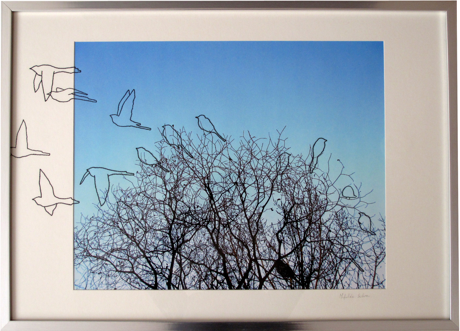 mafalda-silva-fine-art-fly-away