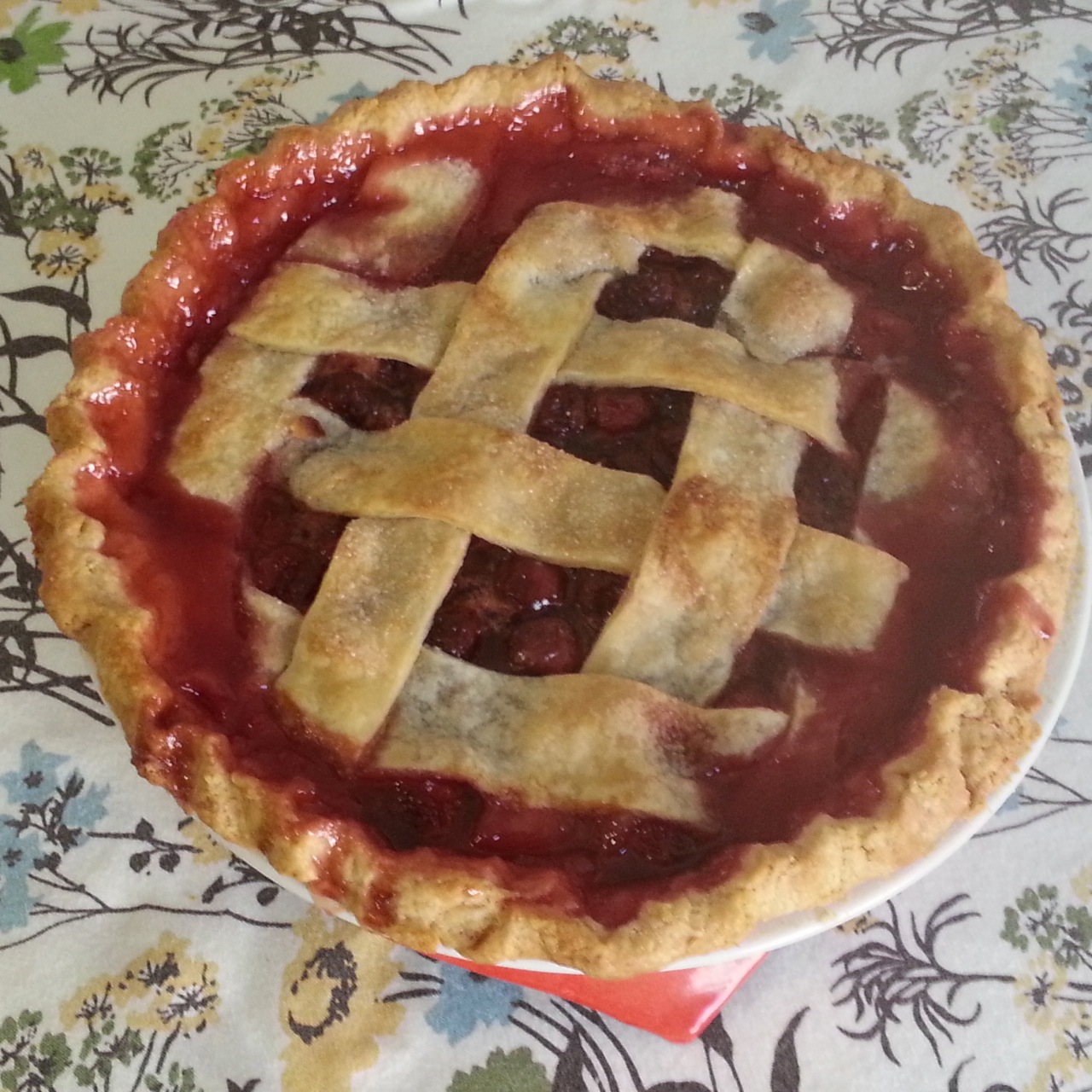 choke, artichoke: sour cherry pie