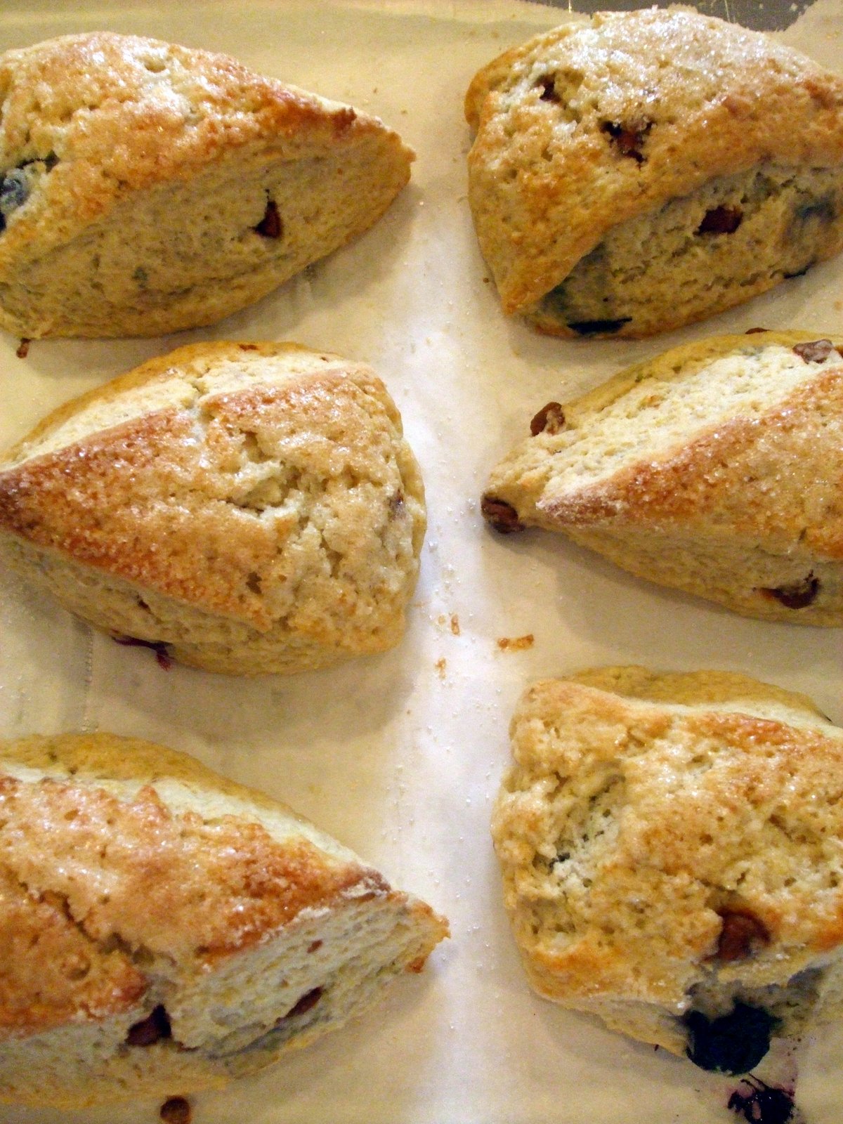 Rosemary's Sampler: Buttermilk Scones ~ Morning Snack