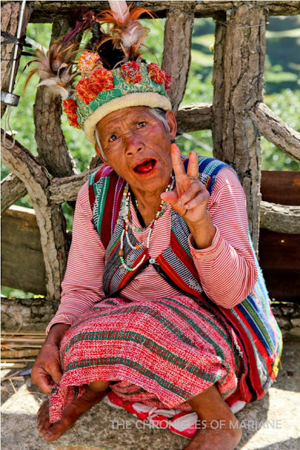 The Majestic Banaue Rice Terraces and Bontoc Museum | The Chronicles of ...