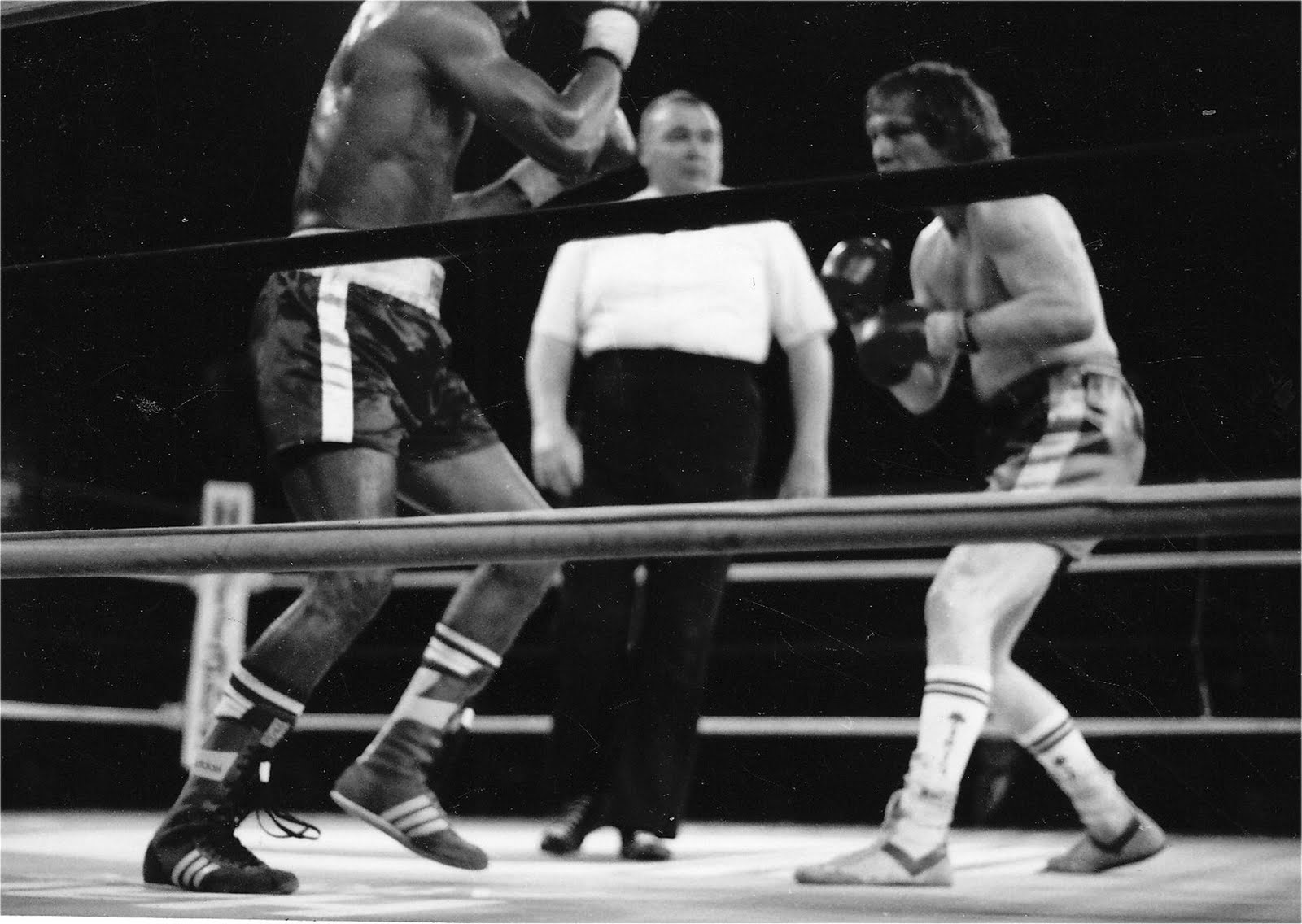 IRISH TEDDY MANN: 2011