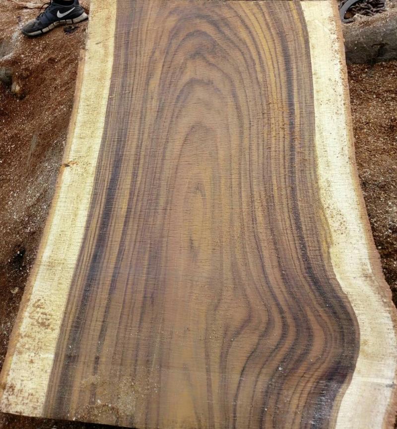 Nature Journaling El Salvador - Risa's Reflections