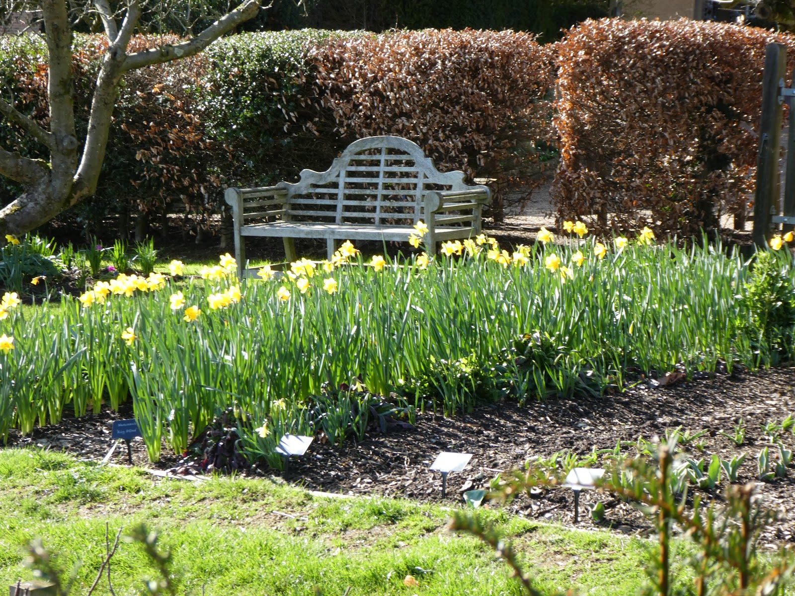 Jane's Journal: Spring has sprung