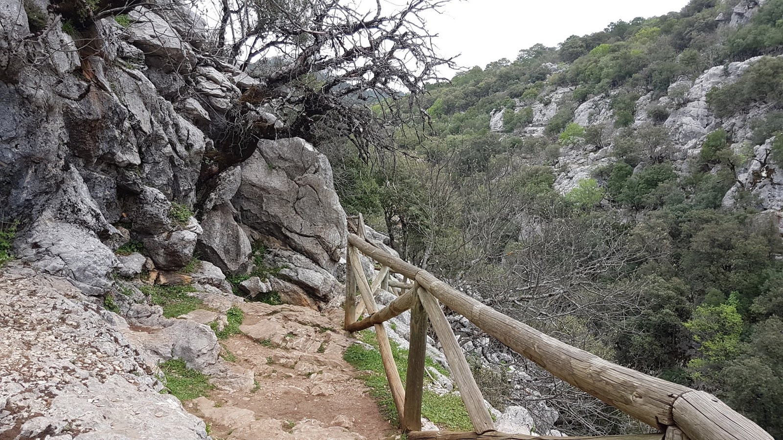 Wikiloc | Ruta Cerrada del Utrero (Vadillo-Castril) (Parque Nacional de ...