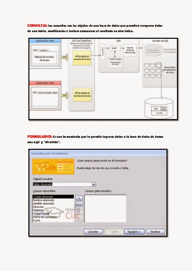 manual de access 2010: CONCEPTOS BÁSICOS DE ACCESS