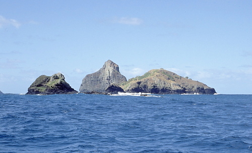 JFC's Birding: POLYNESIAN & PITCAIRN ISLAND TRIP REPORT 4TH JUNE 2006 ...