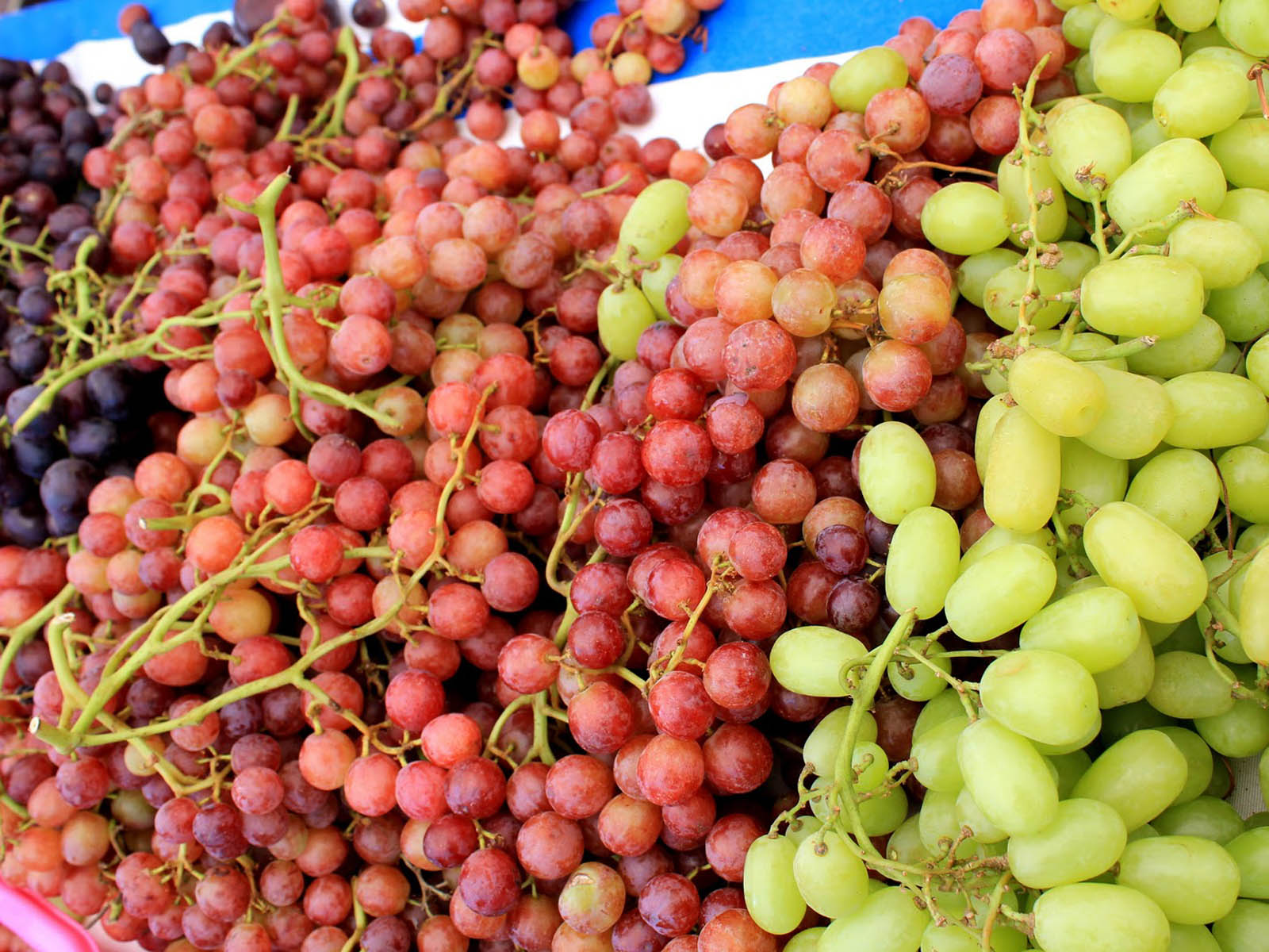 wallpaper: Red Grapes