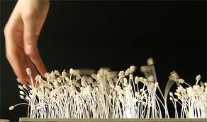 Infection Cancer: SENSORY MEMORY