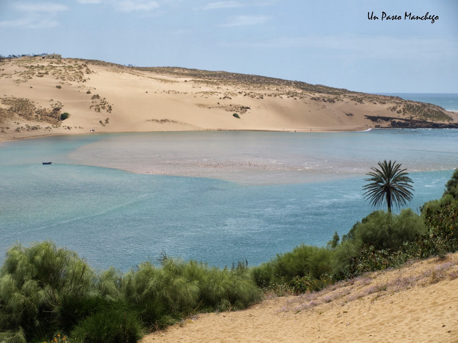 Un Paseo Manchego: La Laguna Azul; Merja Zerga (Marruecos).