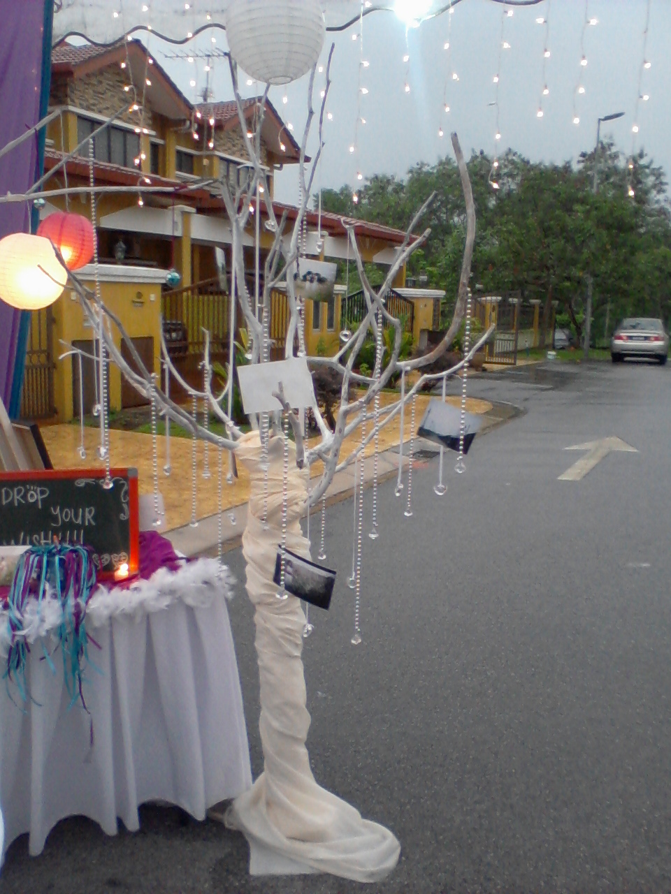 D ShaYaNa CreAtion GallerY: dekorasi lantern & pokok ranting-mona 27/11 ...