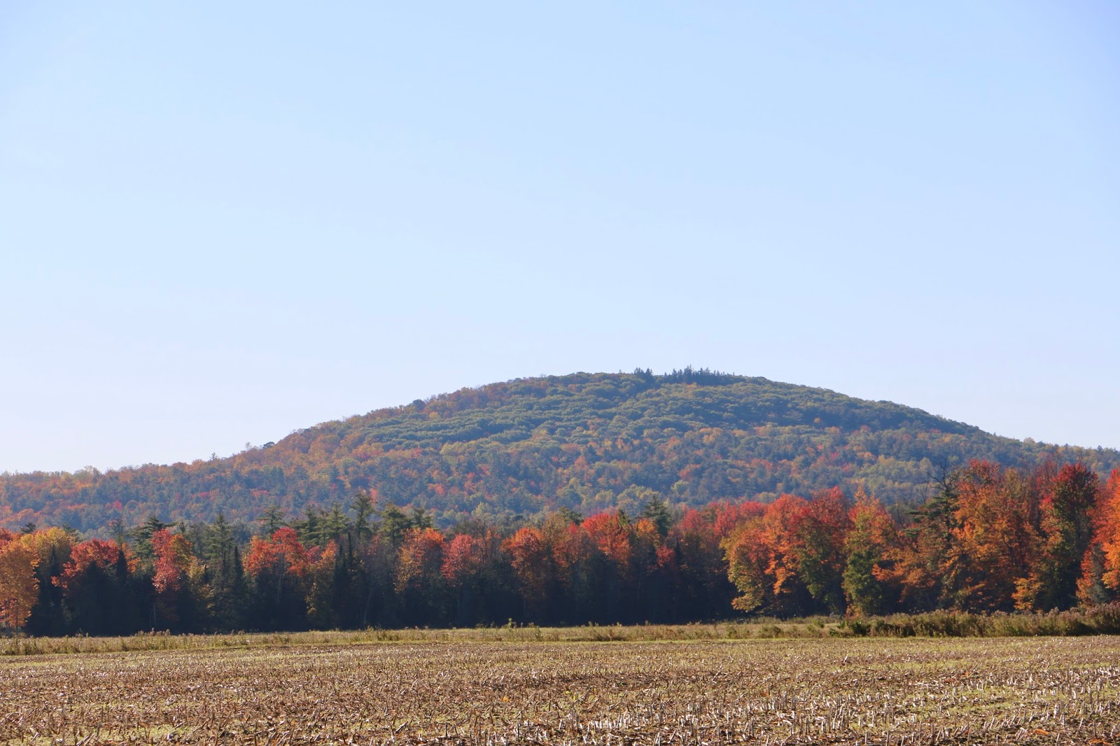 Snapshots of Vermont's Fall. | Southern Belle in Training