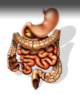 Stomaterapia-online: Le stomie digestive