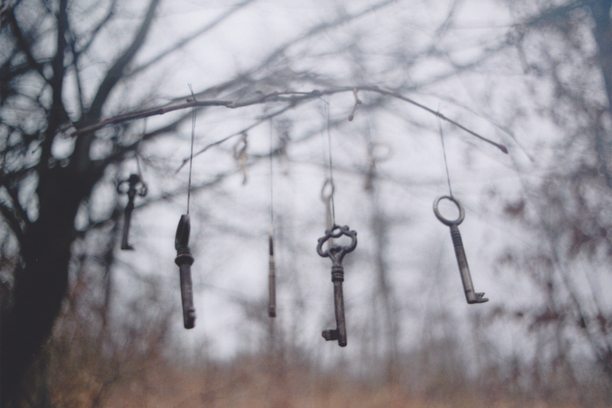 wideeyedtree: *key moment