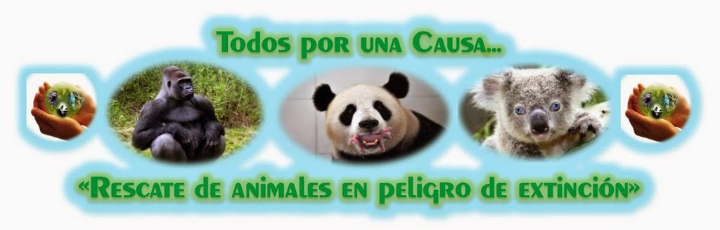 RESCATE DE ANIMALES EN PELIGRO DE EXTINCIÓN
