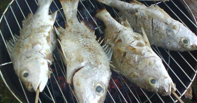 Sulit Dipercaya! Hanya dengan 3 Macam Bumbu Dapur, Kelezatan Ikan Bakar ...