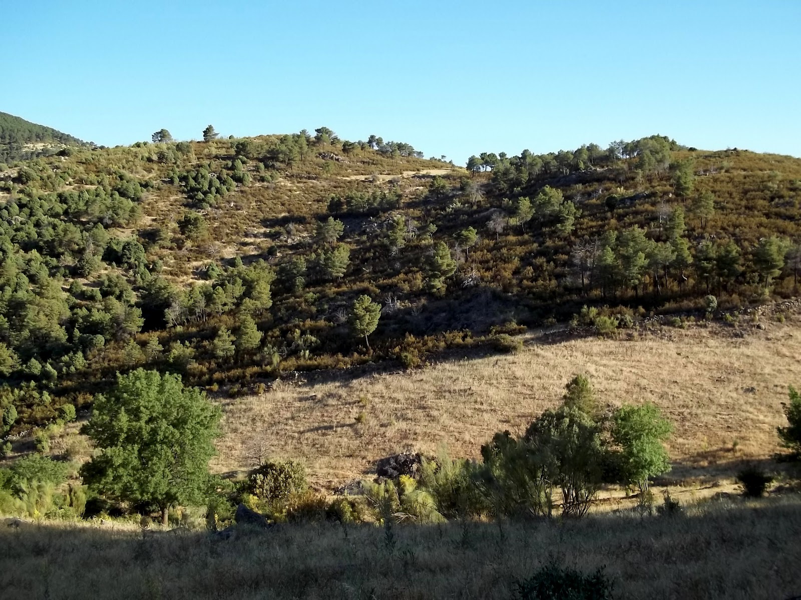 SIGUE EL SENDERO: * Río Cofio.