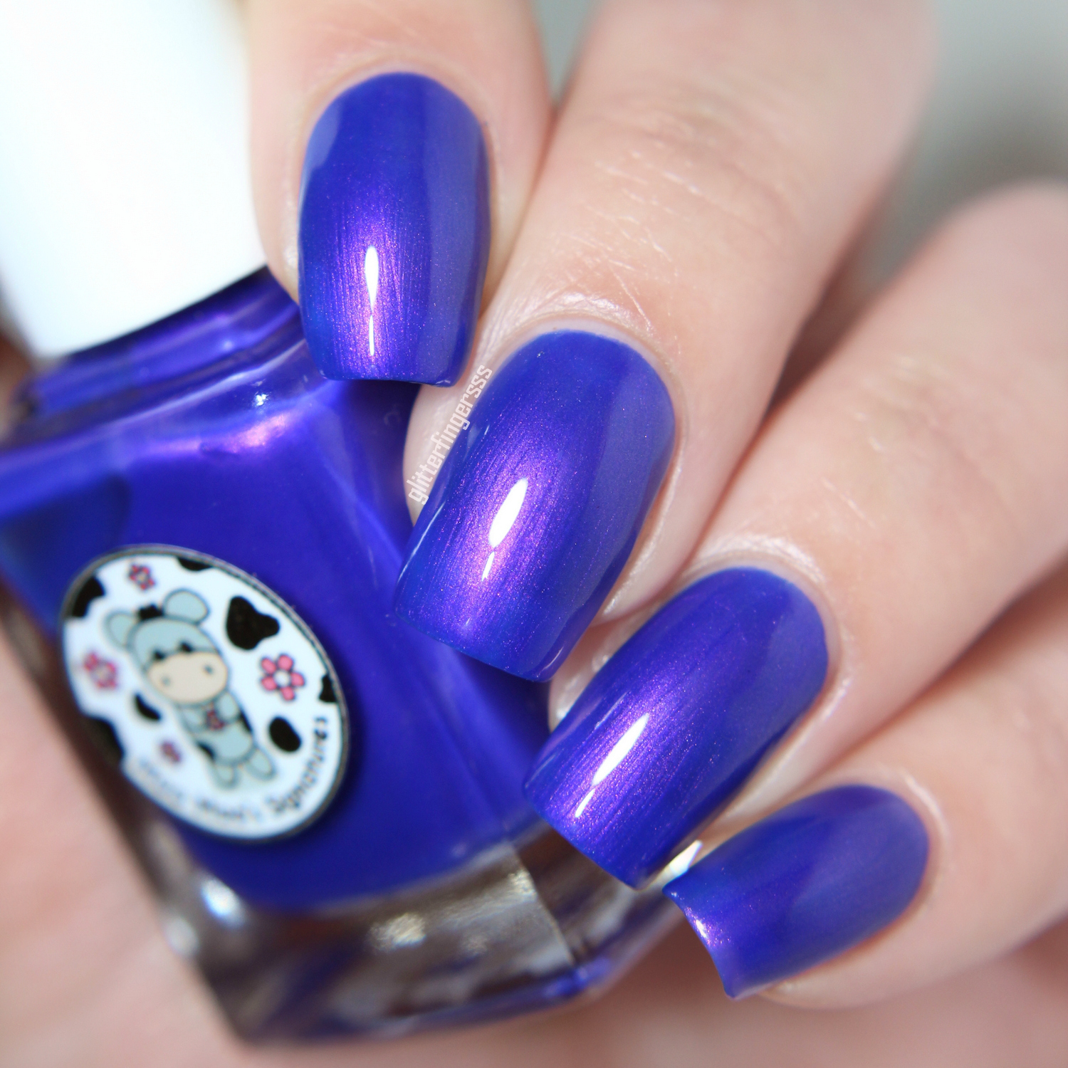 Moo Moo's Signatures | 6 random shades ~ Glitterfingersss in english