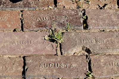 Augusta Georgia Daily Photo