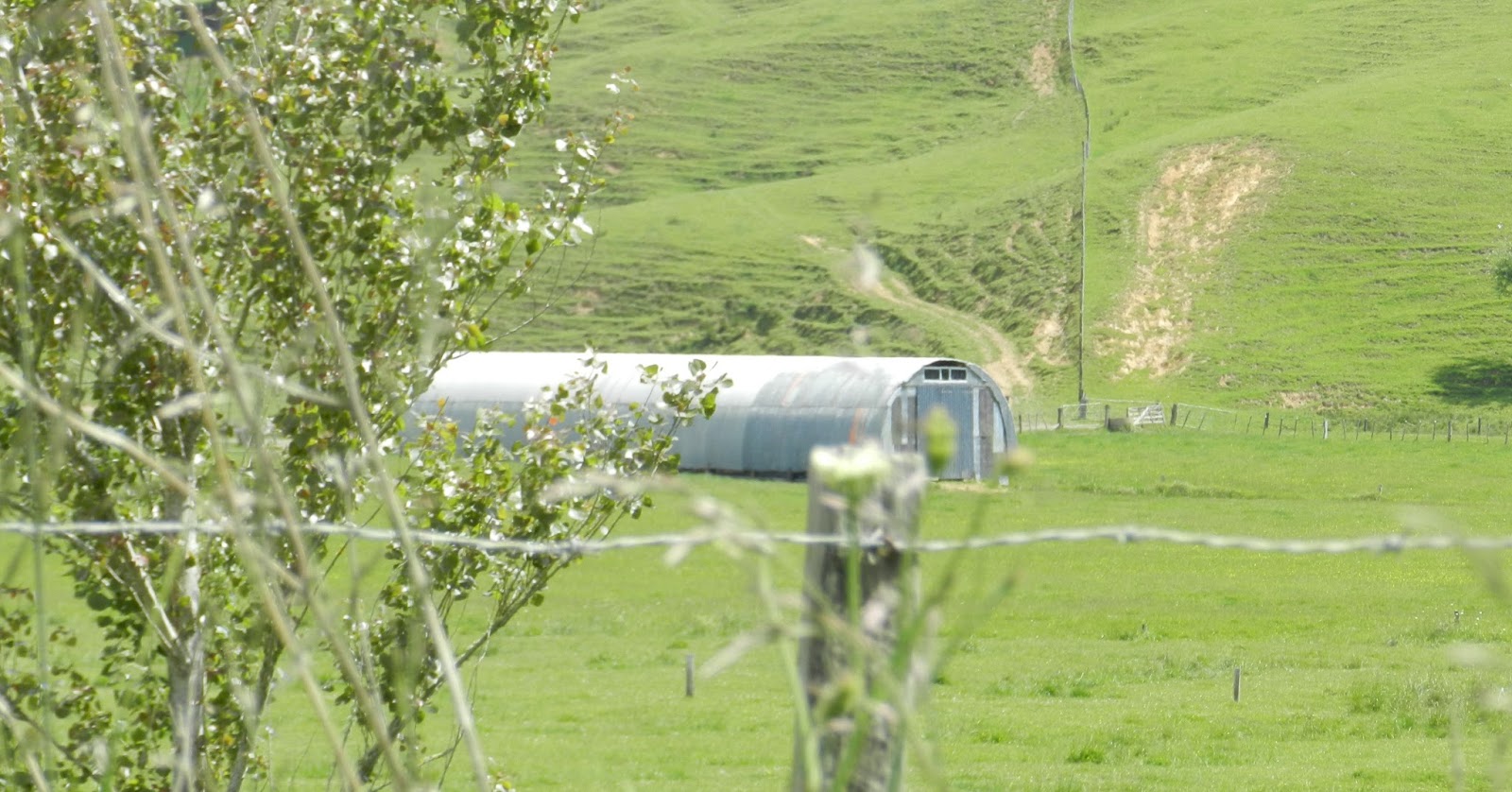 The Paddock: Half round barns