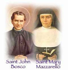 SALESIANS OF DON BOSCO NIGERIA: year of faith logo