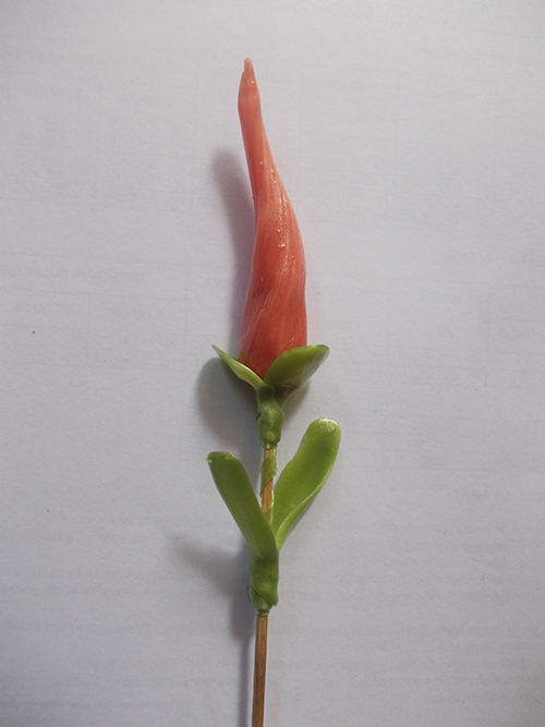 Permen Gulali Model Cabe - Gulali Online