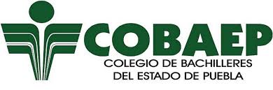 COBAEP PLANTEL 30: ¿QUE ES EL COBAEP?