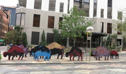 GOING ON ADVENTURES: A quick visit to Denver, Colorado