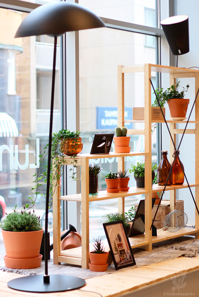 Monimuotoinen Lundia | Voikukkapelto