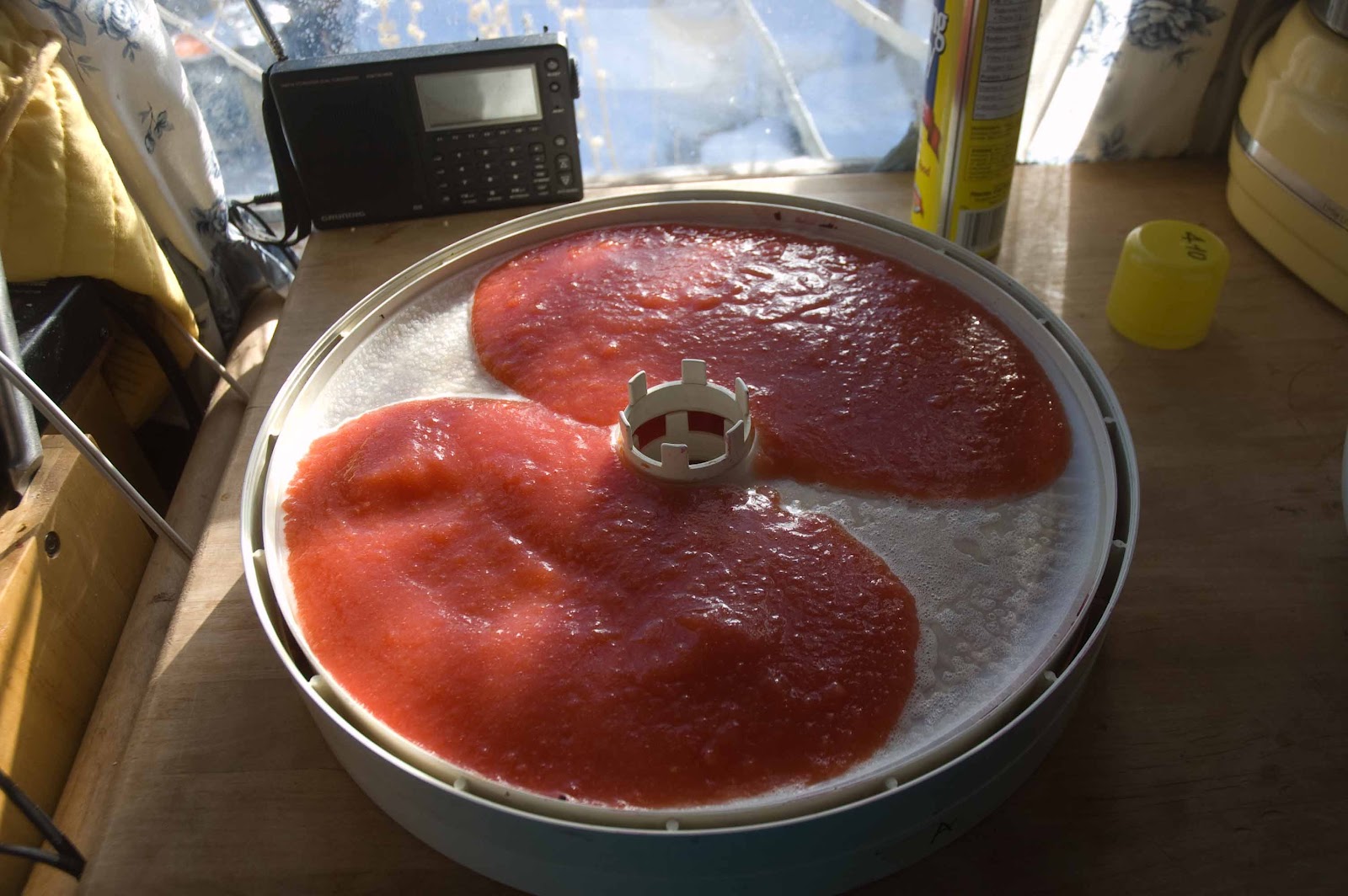 Dehydrating Way Beyond Jerky: Tomato Puree AKA Dehydrating to Beat the ...